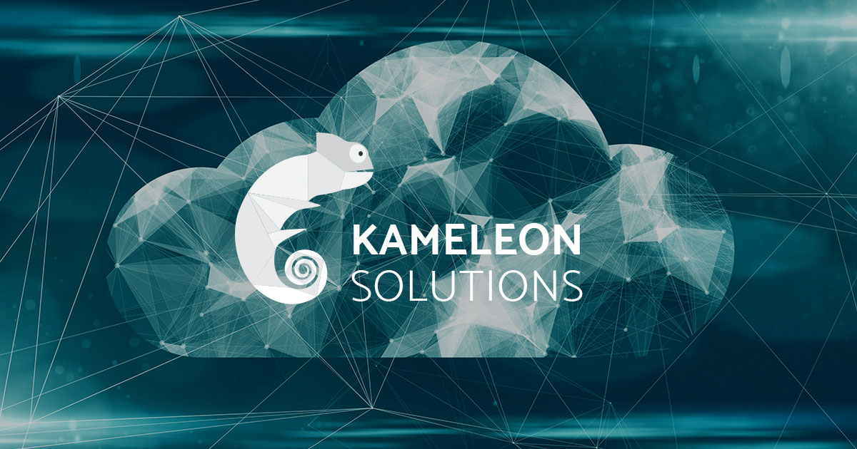 Salesforce expert support: Kameleon Engagement Plan | Kameleon ...
